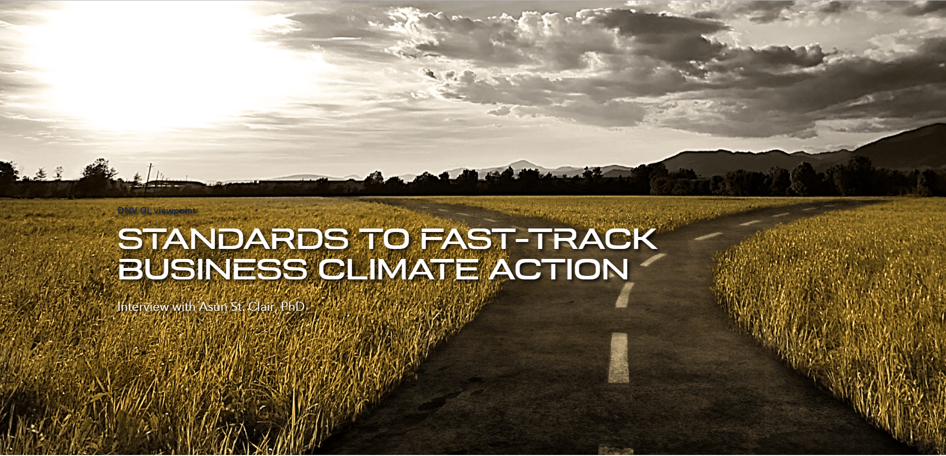 Standards to Fast-Track Business Climate Action - Bergensia