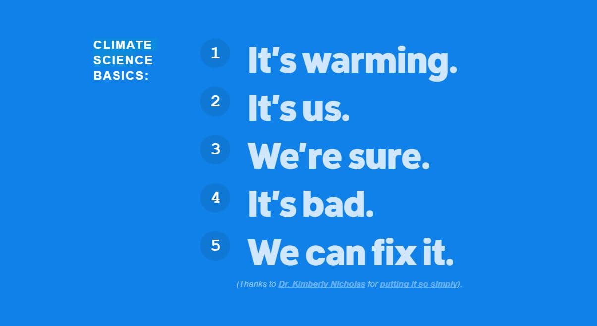 2018: the year of local action - Bergensia