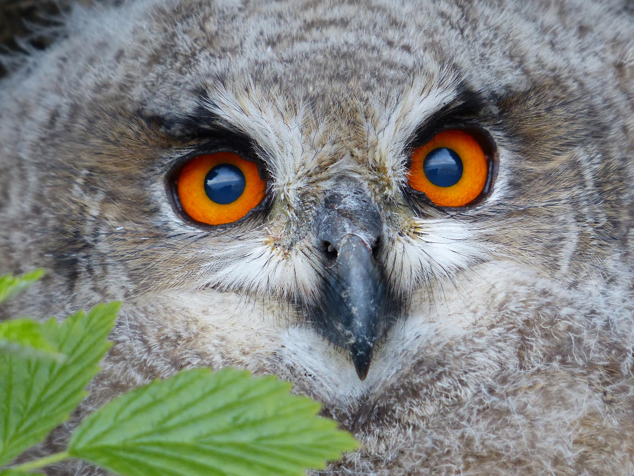 The best we can do for the climate is to take care of nature - Bergensia