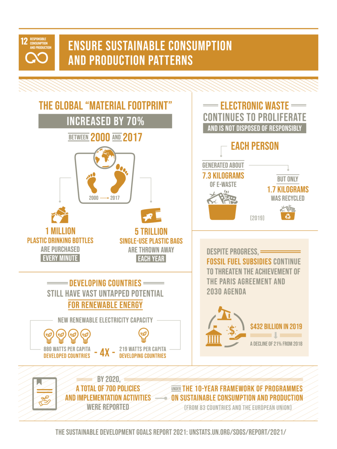 Goal 12: Responsible Consumption and Production - Bergensia