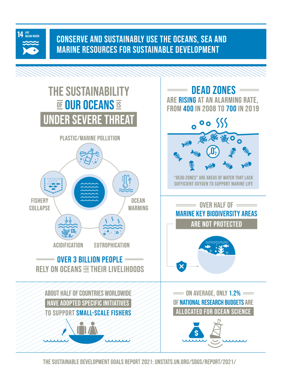 Goal 14: Life Below Water - Bergensia